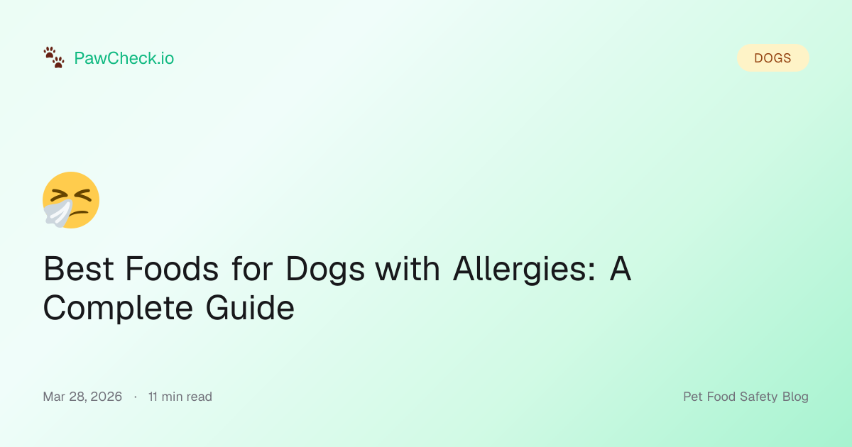 Best Foods for Dogs with Allergies: A Complete Guide | PawCheck